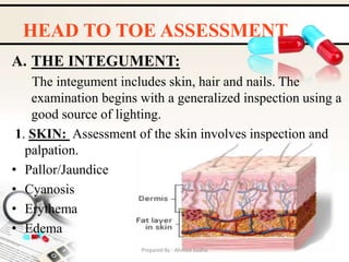Health Assessment / Physical assessment.pptx