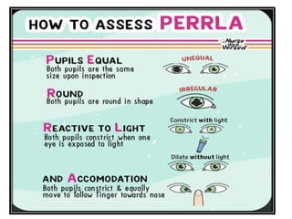 PHYSICAL ASSESSMENT.pptx fundamental of nursing | PPTX