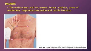 Physical Assessment 13 - Thorax Lungs Heart Sounds.ppt