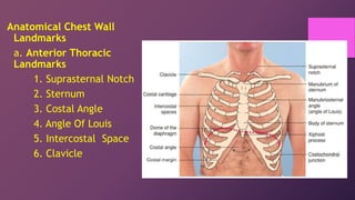 Heart Sounds Landmarks