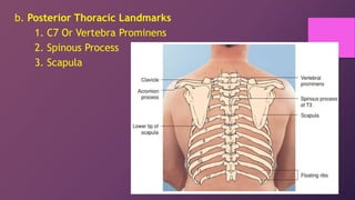 Heart Sounds Landmarks
