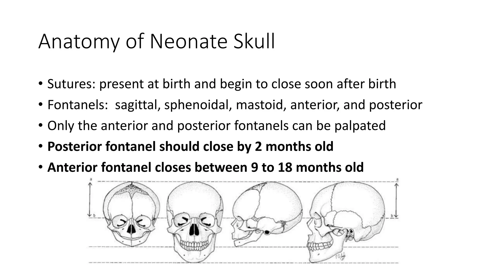 Physical assessment Head and Neck.pptx