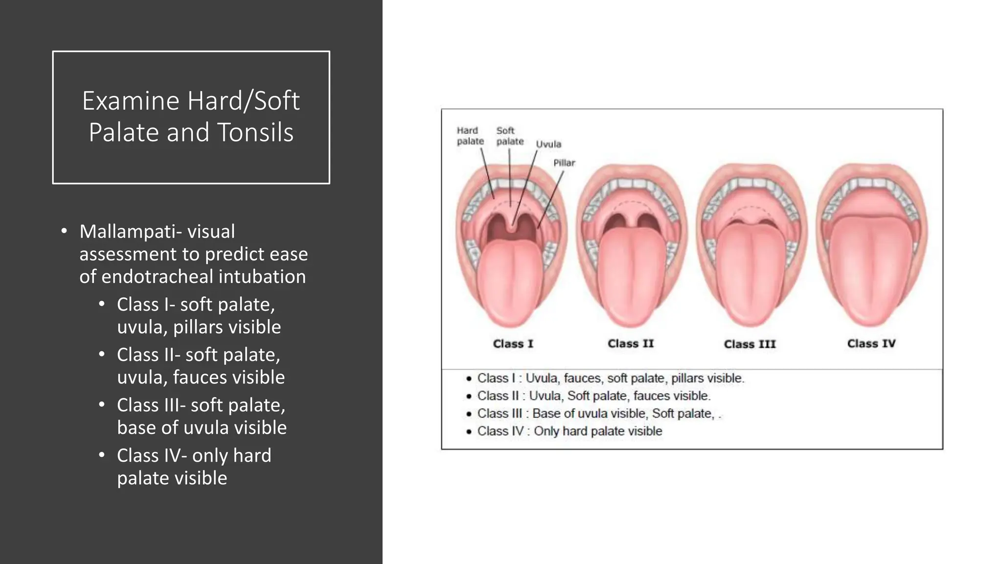 Physical assessment Head and Neck.pptx