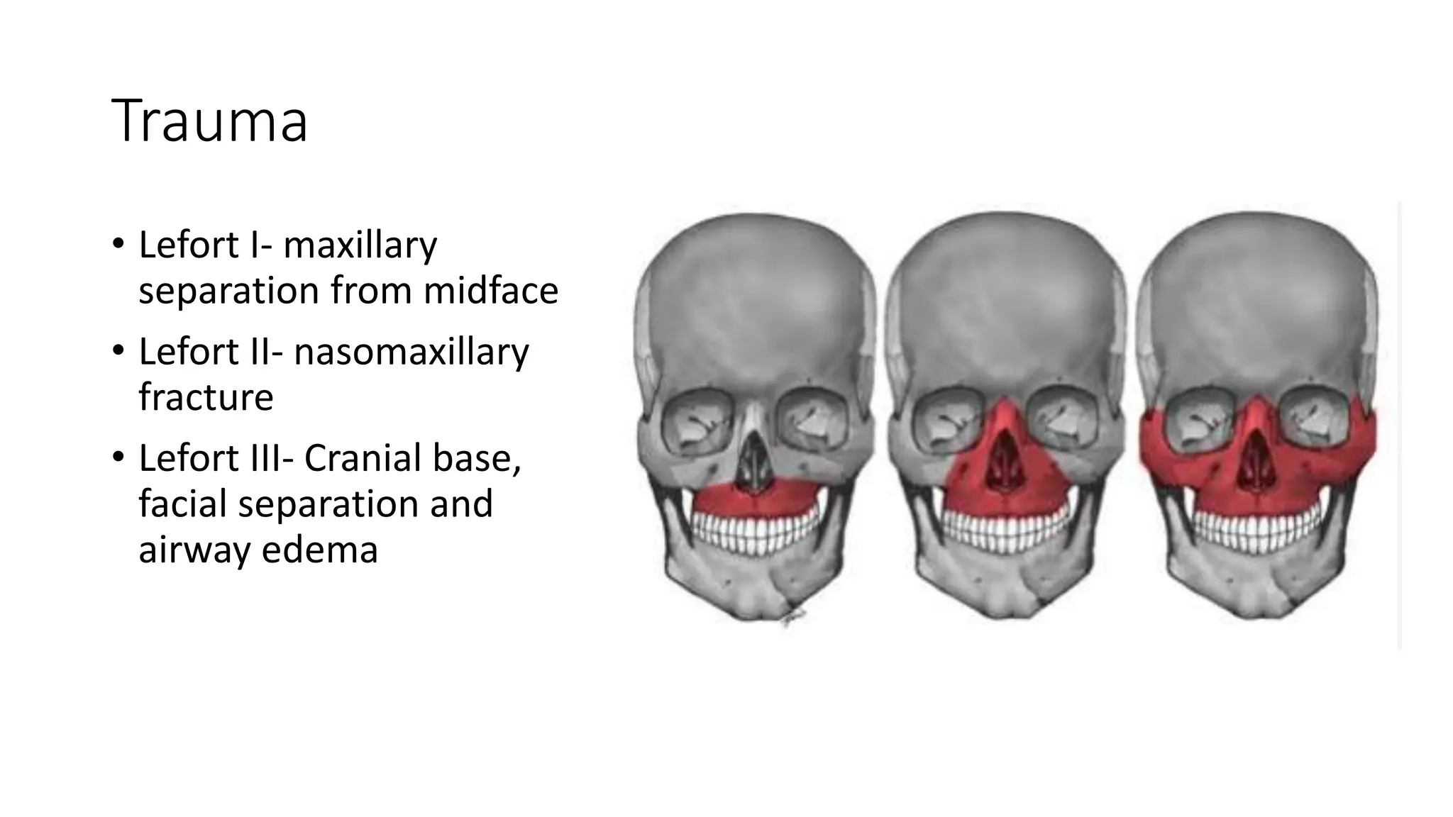 Physical assessment Head and Neck.pptx