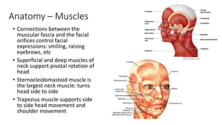 Physical assessment Head and Neck.pptx