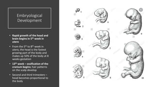 Physical assessment Head and Neck.pptx