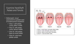 Physical assessment Head and Neck.pptx