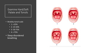 Physical assessment Head and Neck.pptx