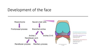 Physical assessment Head and Neck.pptx