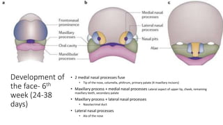 Physical assessment Head and Neck.pptx