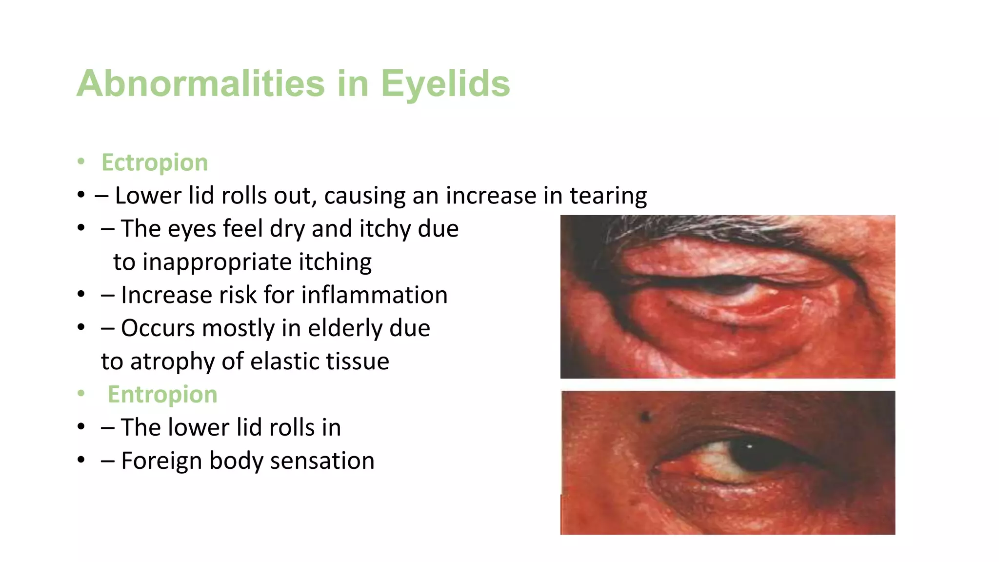 Physical Assessment of the Head, Eyes,.pptx