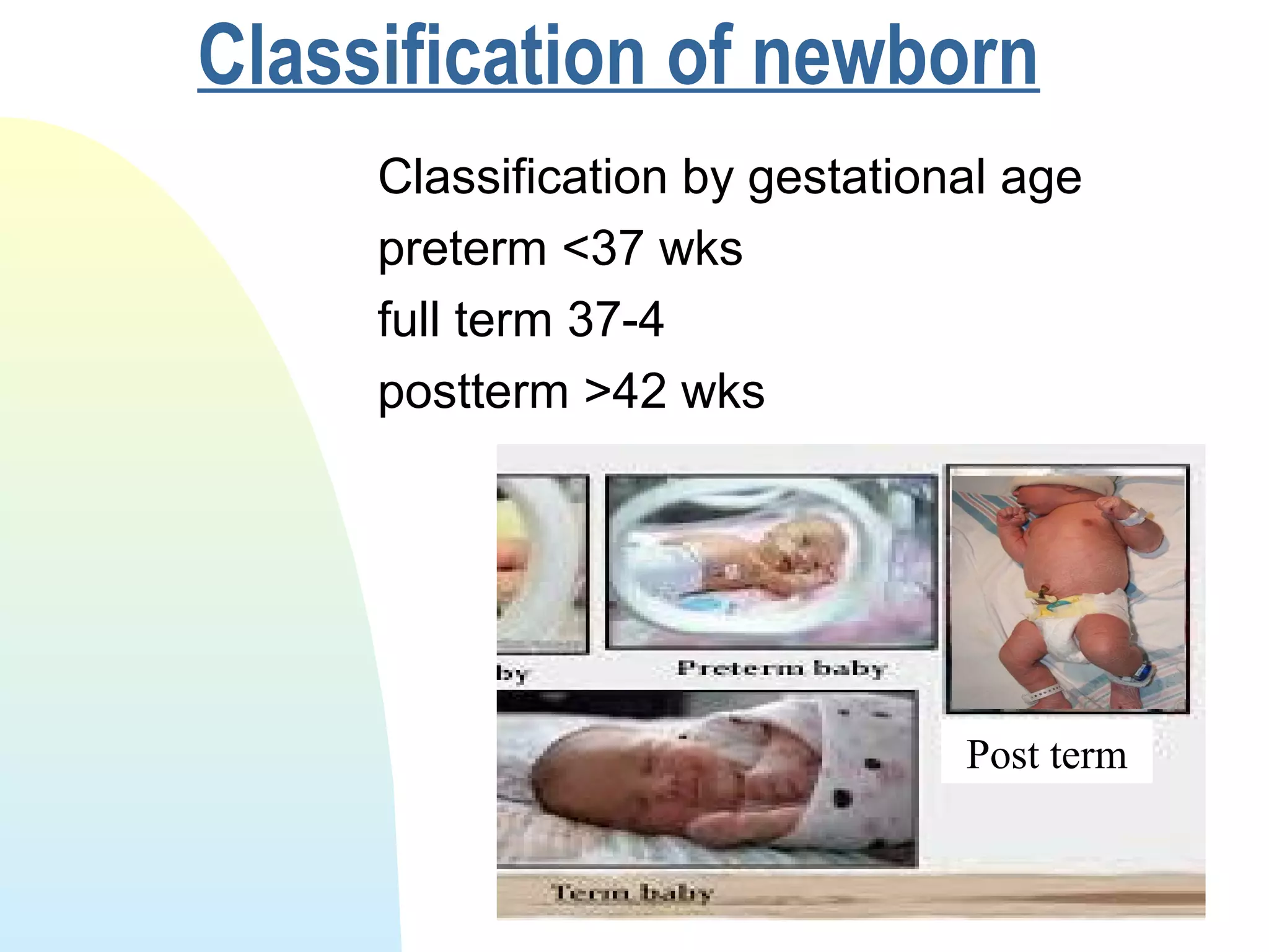 Physical assessment of the neonate | PPT