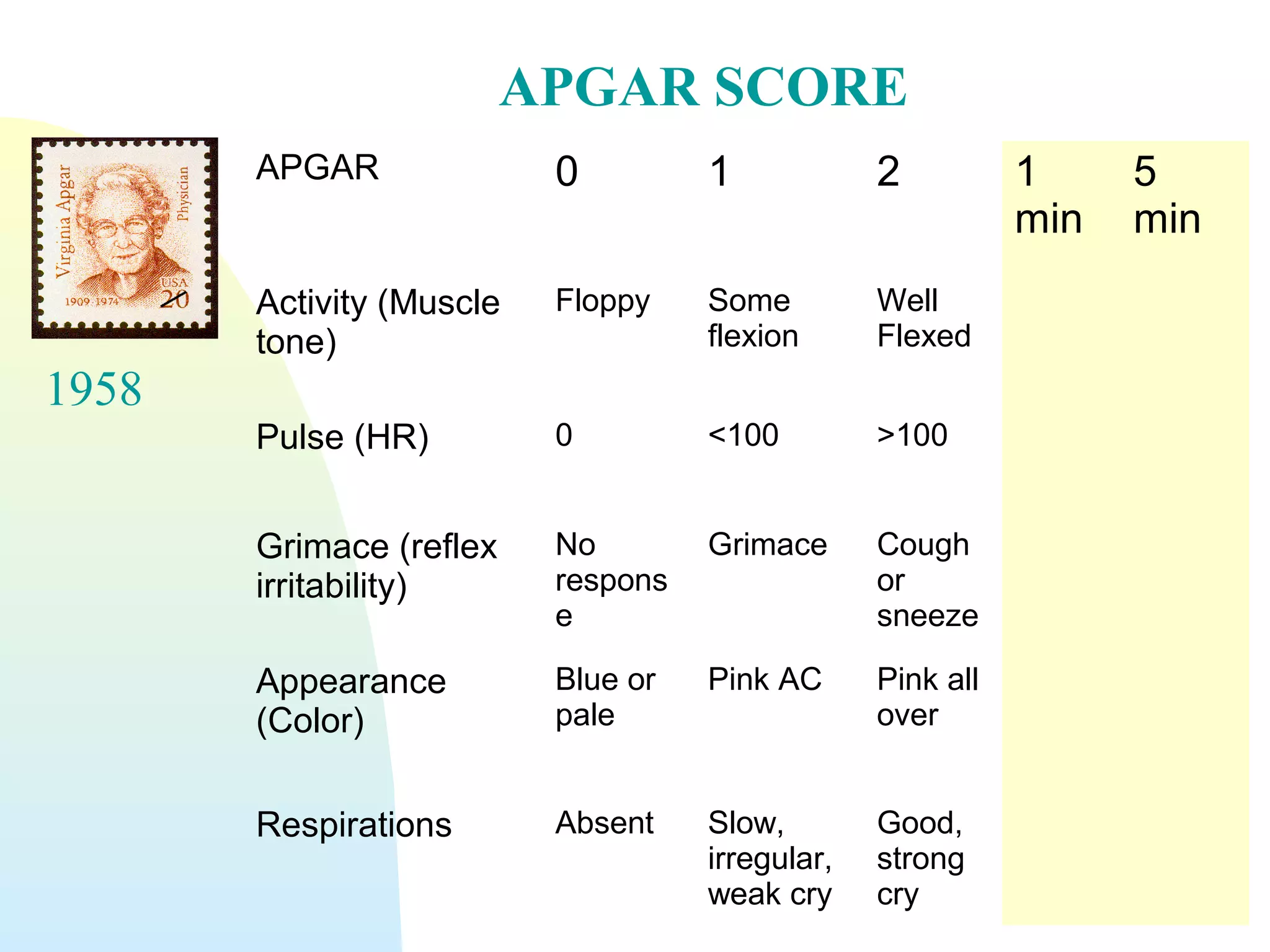 Physical assessment of the neonate | PPT