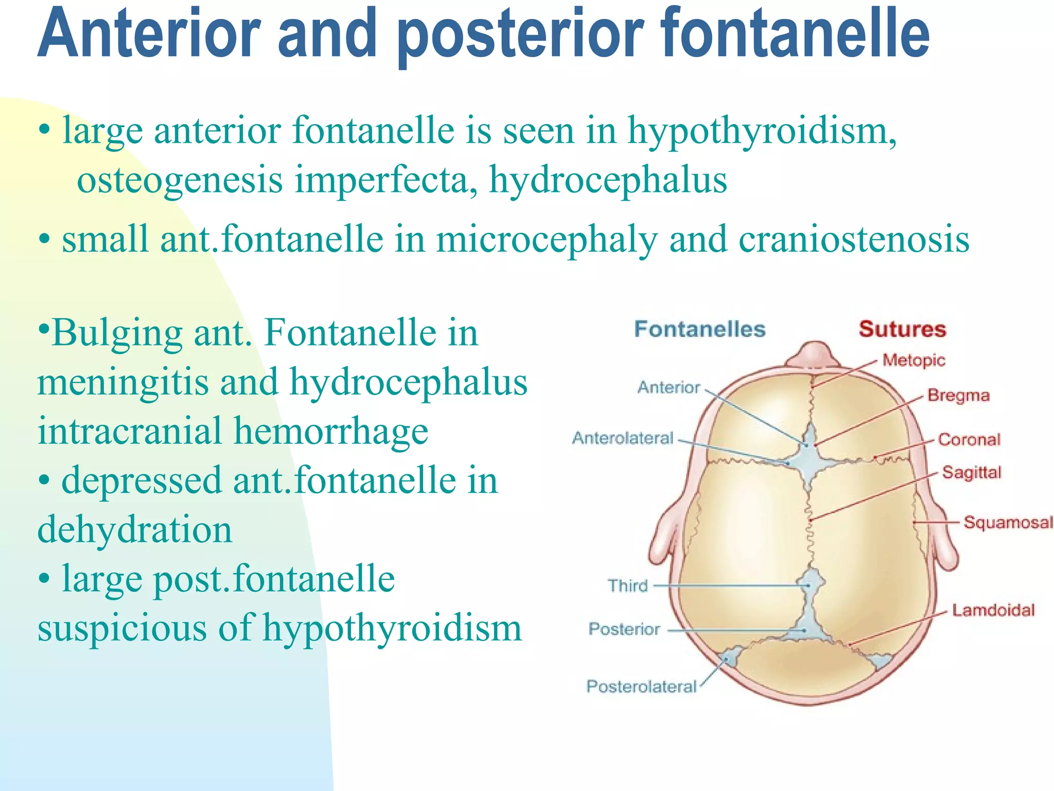 Physical assessment of the neonate | PPT