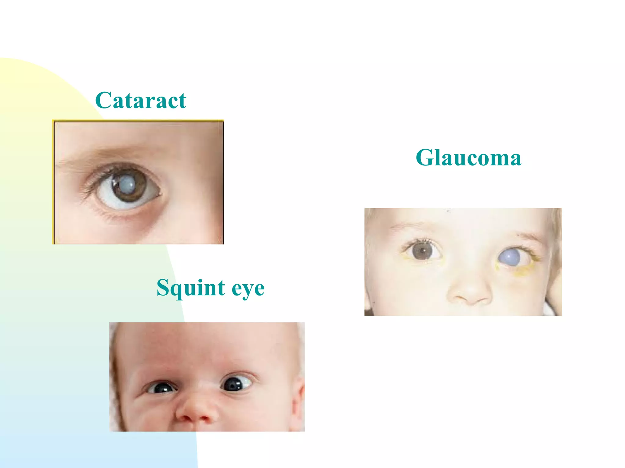 Physical assessment of the neonate | PPT