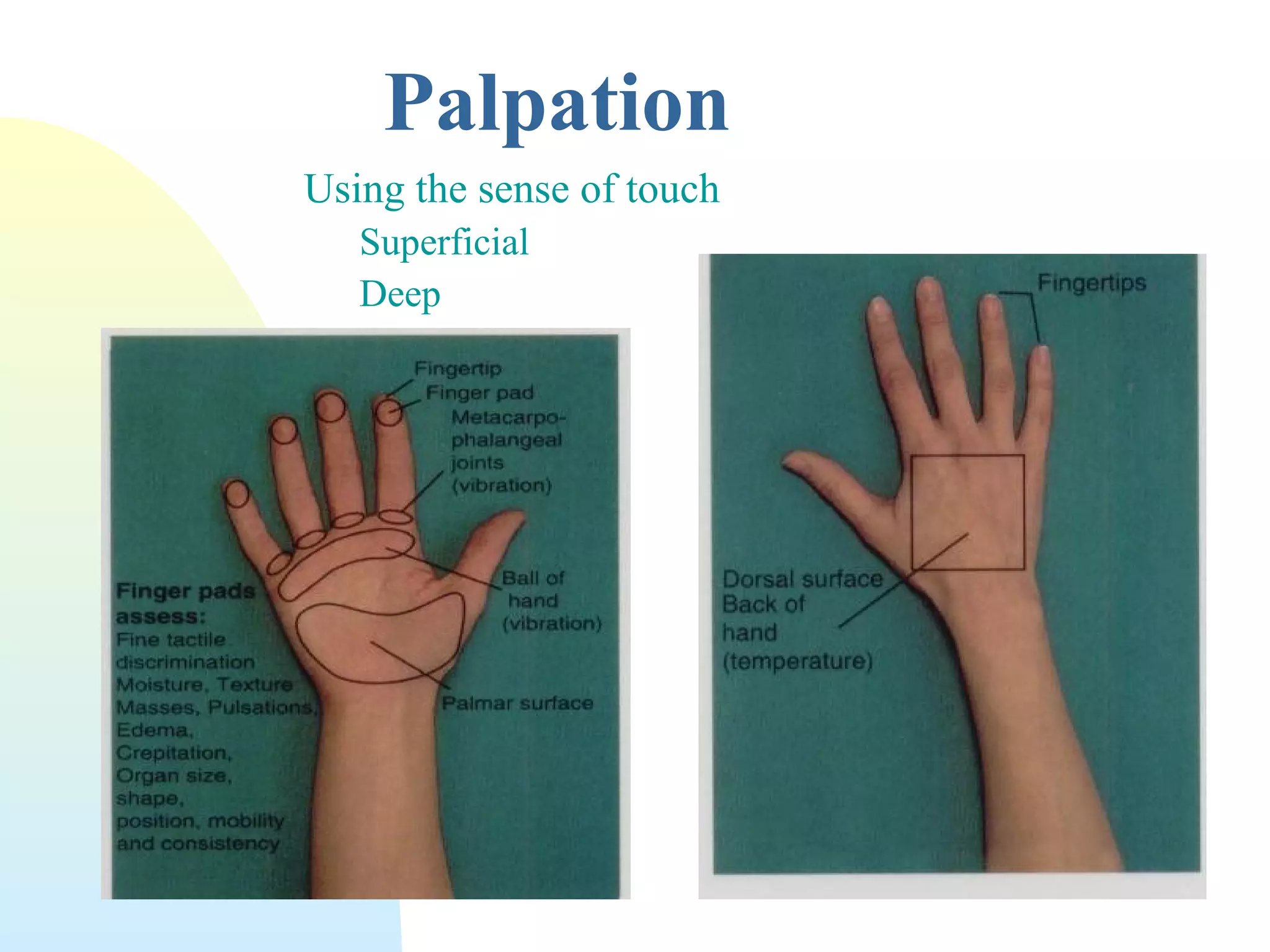 Physical assessment of the neonate | PPT