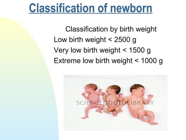 Physical assessment of the neonate | PPT | Pregnancy | Reproductive Health