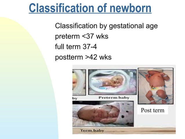 Physical assessment of the neonate | PPT | Pregnancy | Reproductive Health