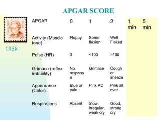 Physical assessment of the neonate | PPT