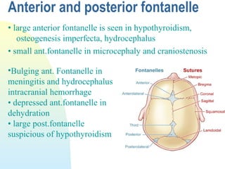 Physical assessment of the neonate | PPT