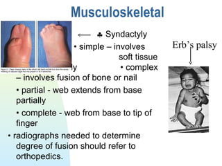 Physical assessment of the neonate | PPT