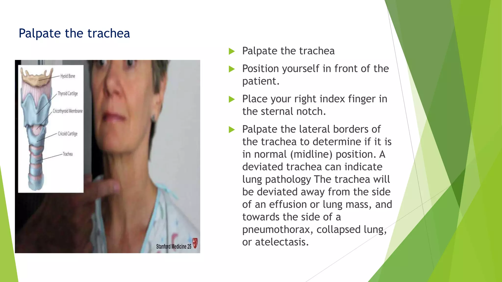 PHYSICAL ASSESSMENT OF THORAX AND LUNGS..pptx