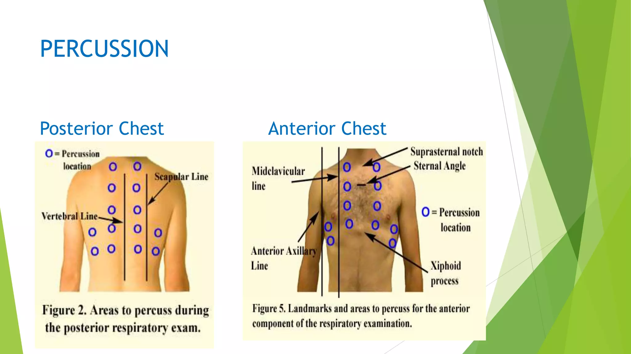 PHYSICAL ASSESSMENT OF THORAX AND LUNGS..pptx