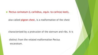 PHYSICAL ASSESSMENT OF THORAX AND LUNGS..pptx