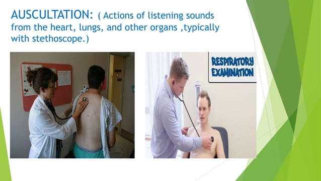 PHYSICAL ASSESSMENT OF THORAX AND LUNGS..pptx | Lung and Respiratory ...