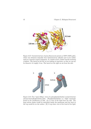 Solutions for Exercises from Physical Biology of the Cell 2nd Edition ...