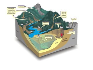 Physical Causes And Consequences Of Mass Movement | PPT
