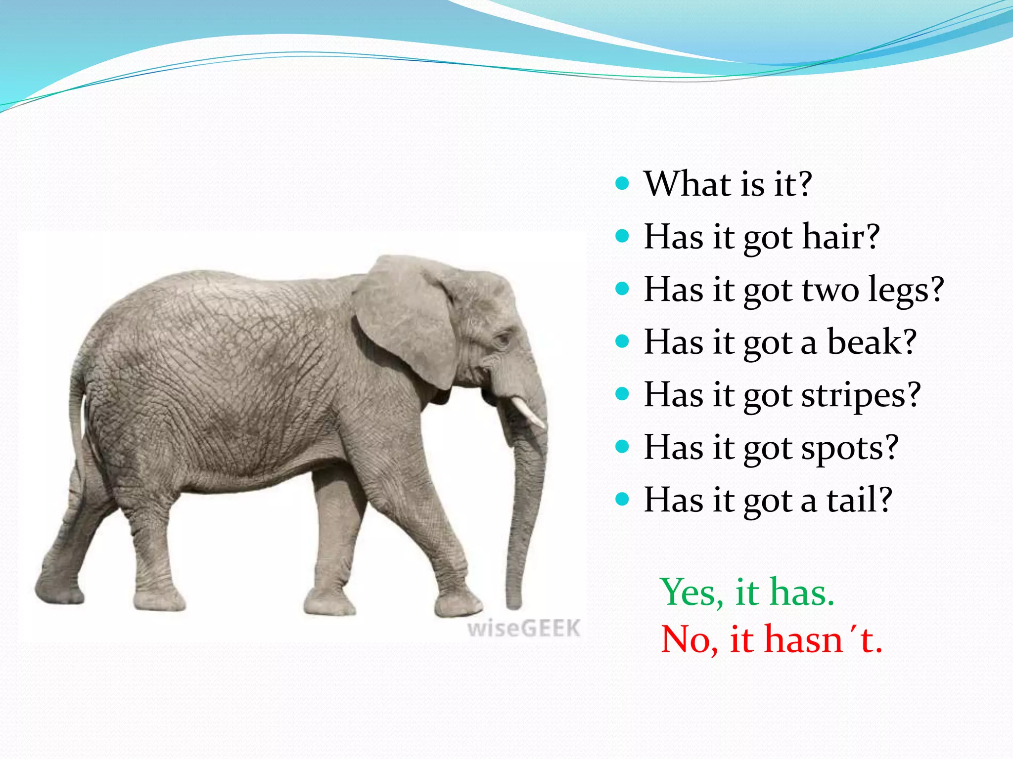 Physical characteristics of animals | PPT