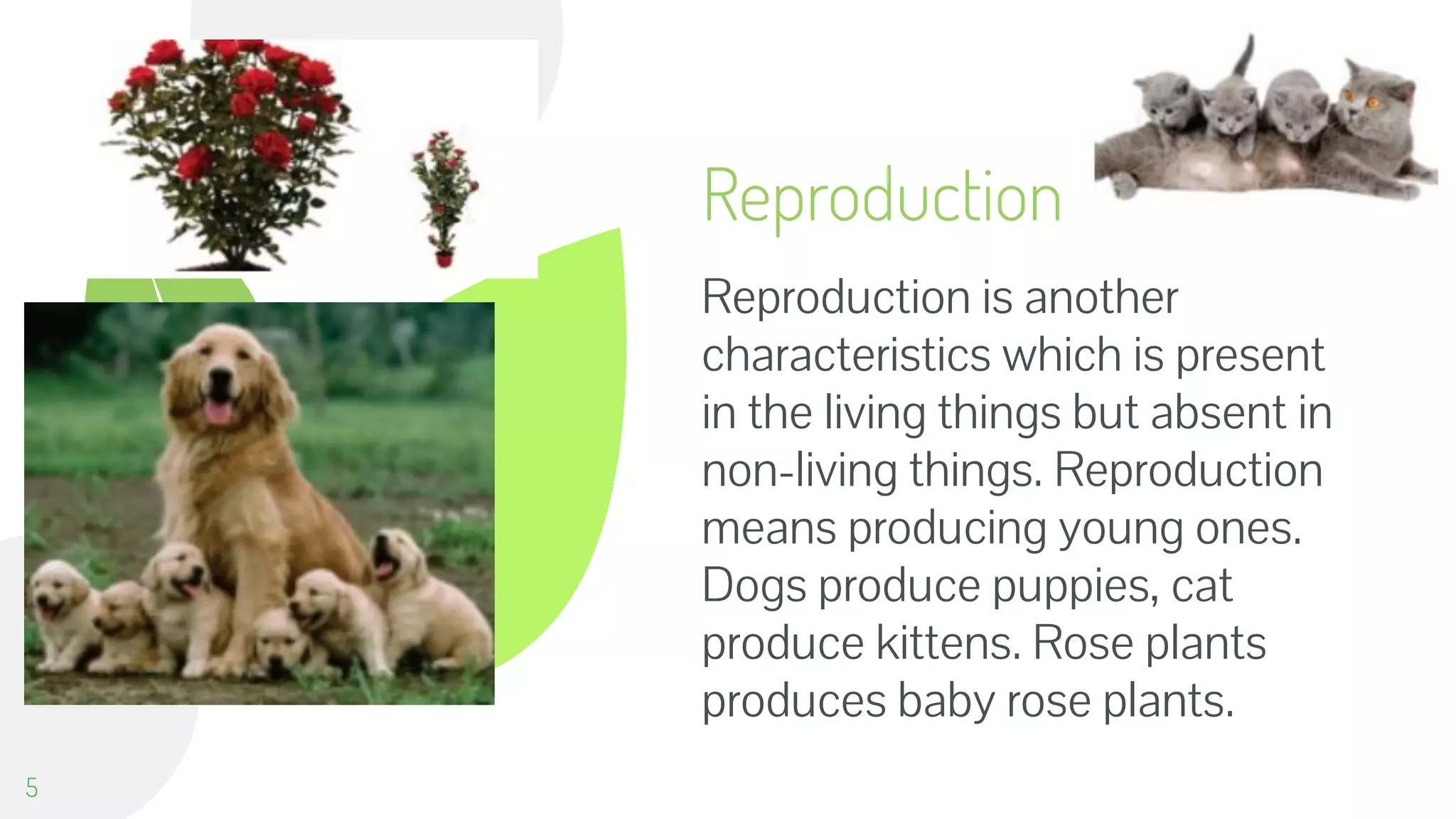 Physical characteristics of life | PPT