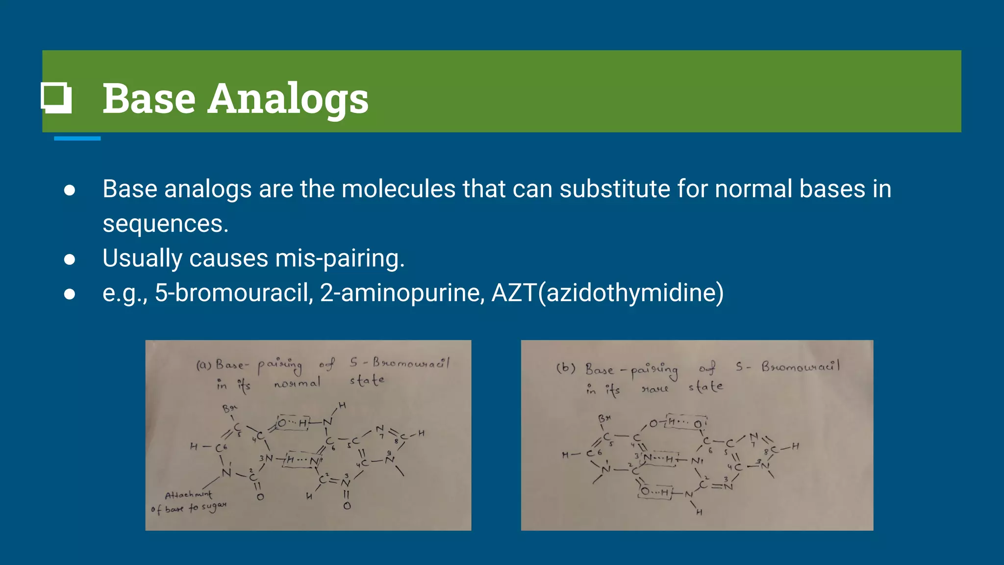 Physical & Chemical Mutagen (BS415).pdf
