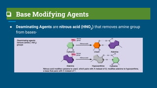 Physical & Chemical Mutagen (BS415).pdf