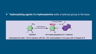 Physical & Chemical Mutagen (BS415).pdf | Chemistry | Science