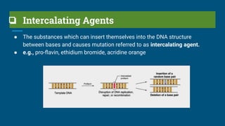 Physical & Chemical Mutagen (BS415).pdf | Chemistry | Science