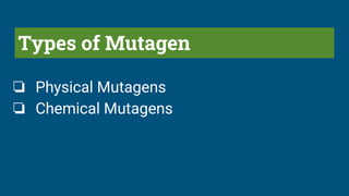 Physical & Chemical Mutagen (BS415).pdf | Chemistry | Science