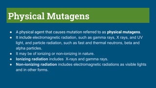 Physical & Chemical Mutagen (BS415).pdf | Chemistry | Science