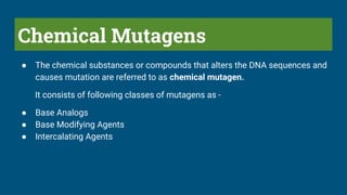 Physical & Chemical Mutagen (BS415).pdf | Chemistry | Science