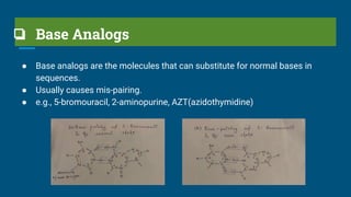 Physical & Chemical Mutagen (BS415).pdf | Chemistry | Science