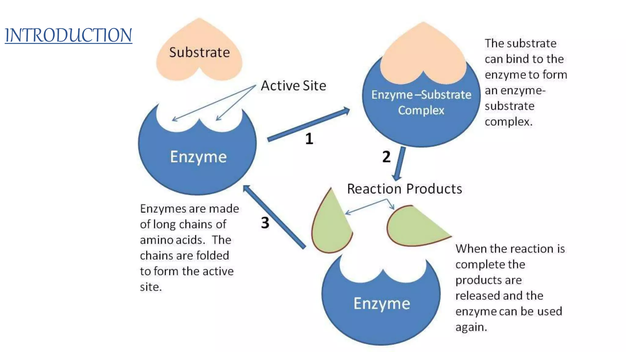 Physical & chemical properties of enzymes (vitamins) | PPT