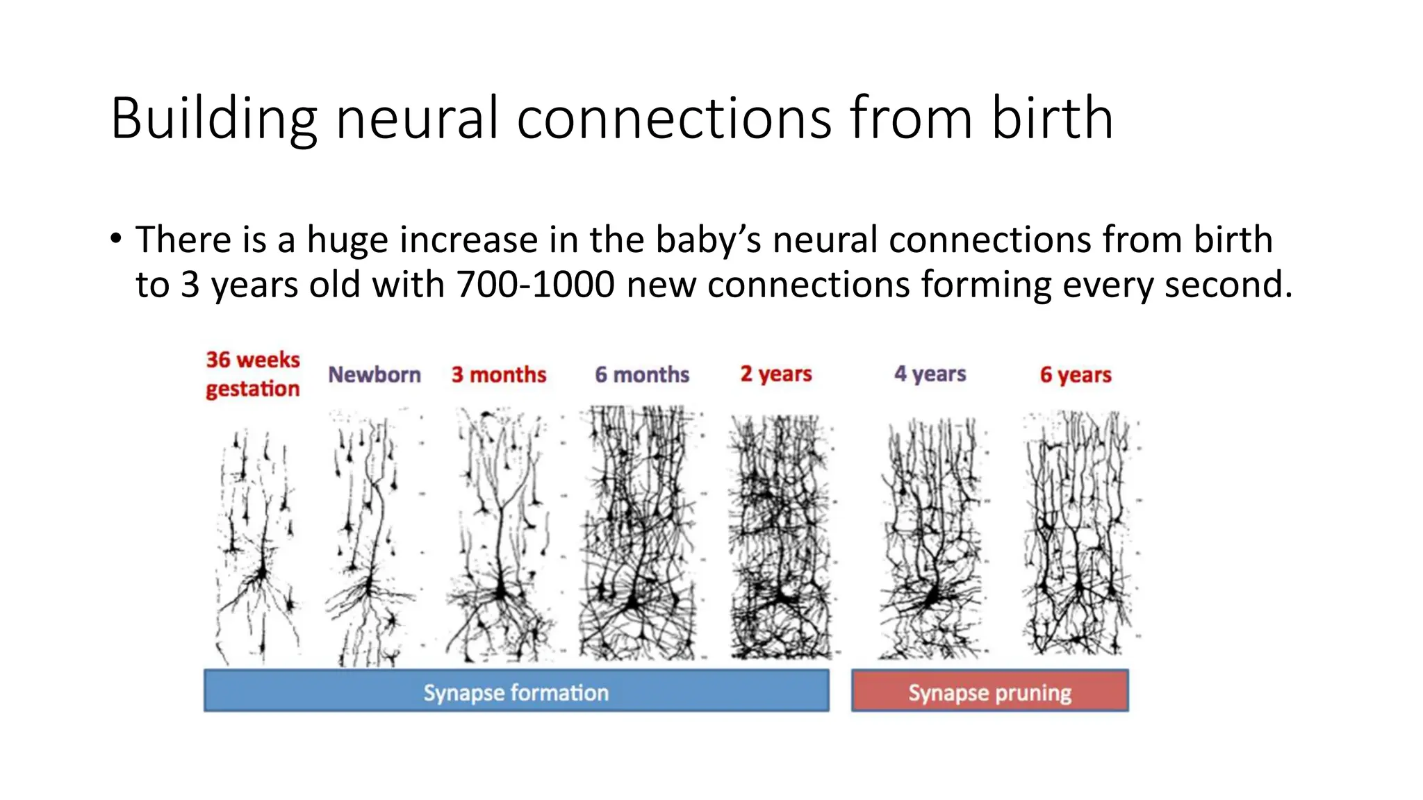 Physical Cognitive Development Early Childood.pptx