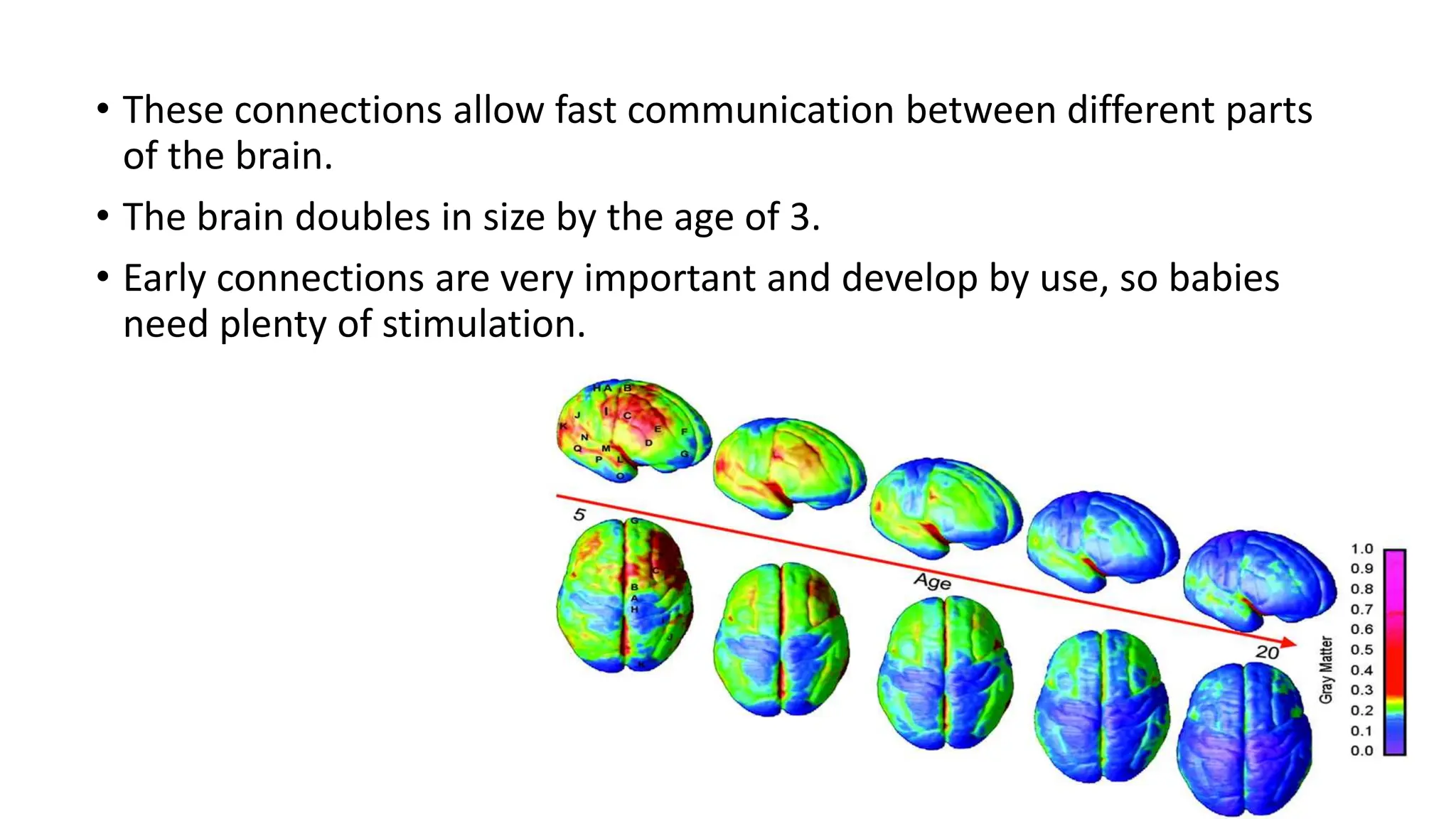 Physical Cognitive Development Early Childood.pptx