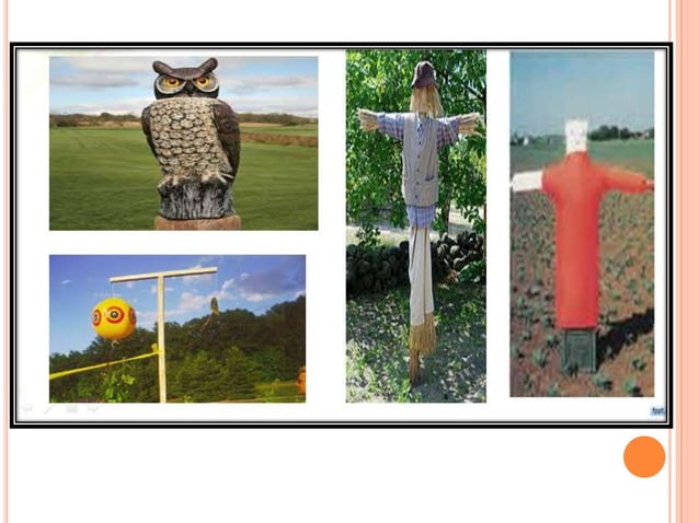 PHYSICAL METHODS OF INSECT CONTROL.pptx