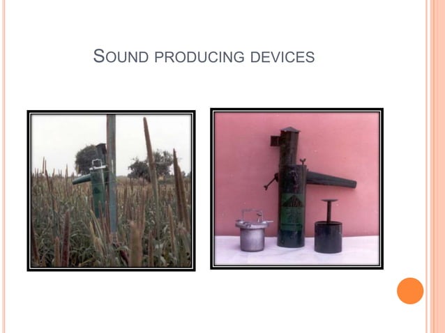 PHYSICAL METHODS OF INSECT CONTROL.pptx