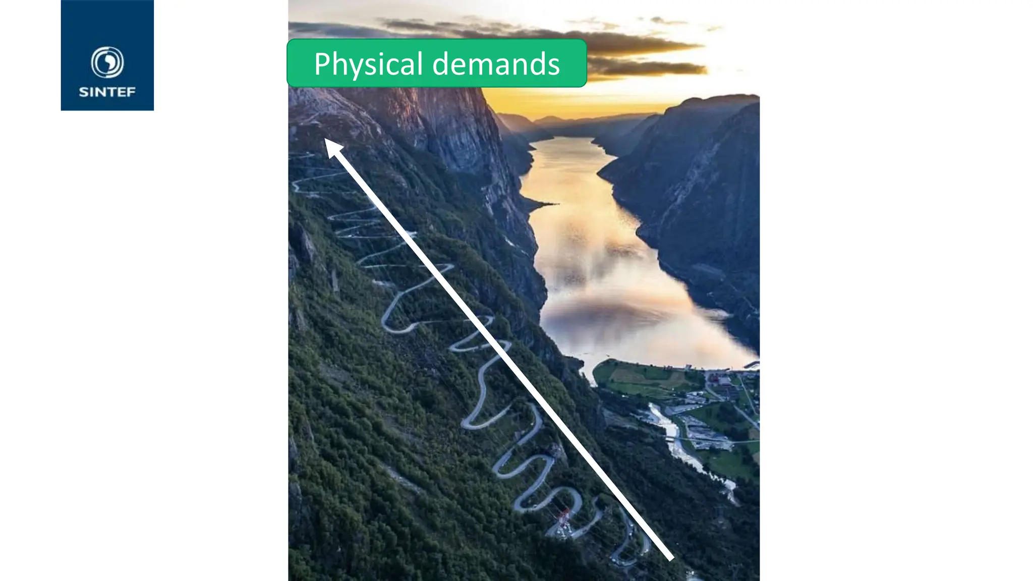 Physical demands in sports - WCSPT Oslo 2024 | PPTX