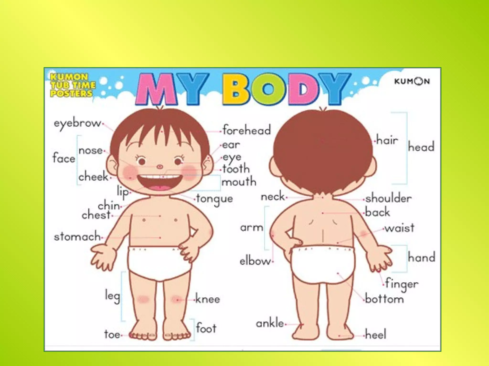 Physical description | PPT