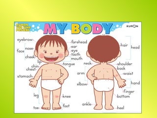 Physical description | PPT