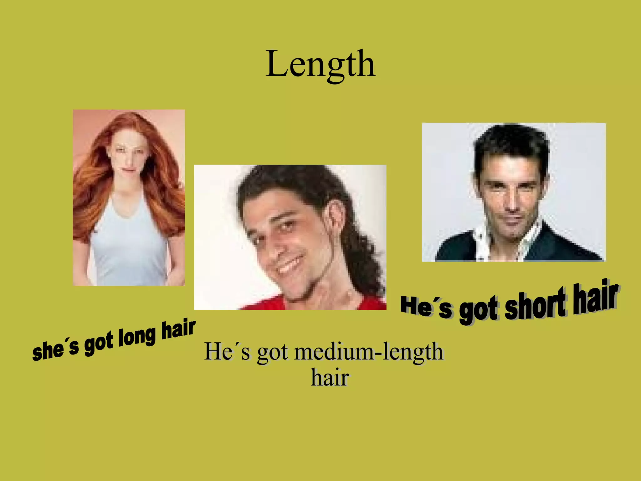 Physical description | PPS